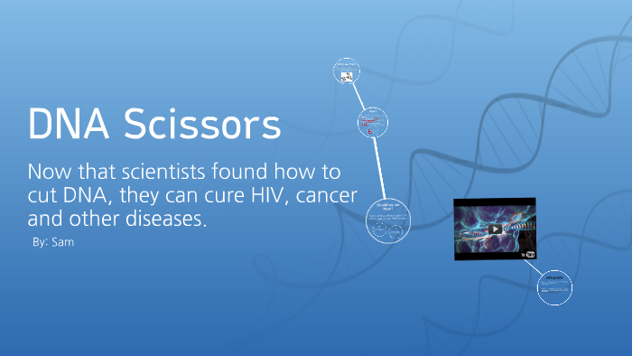 DNA Scissors by sam kim on Prezi