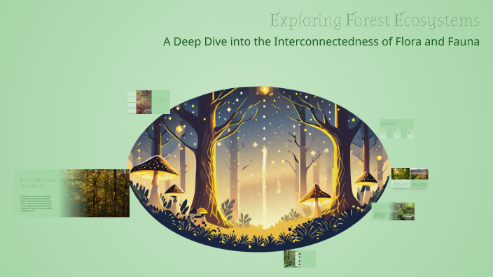 Exploring Forest Ecosystems by Pham Hương on Prezi