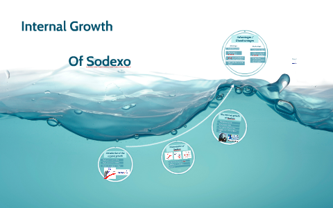 Internal Growth by Simon GROSINI on Prezi