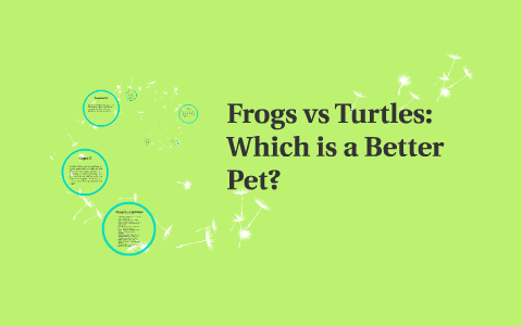 Frogs vs Turtles: Which is the Better Pet by Reagan Burgess on Prezi