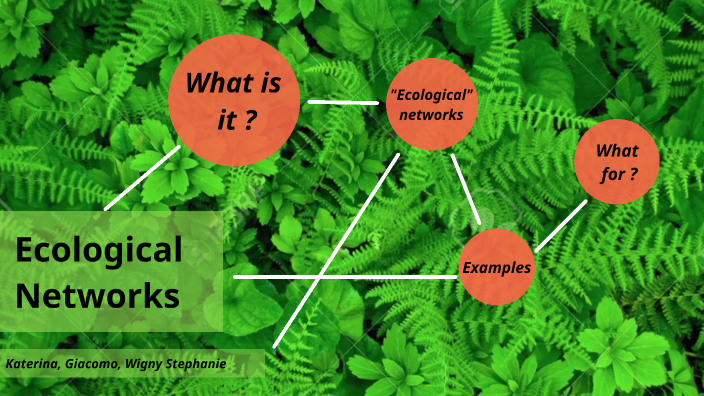 Ecological network by Stephanie Wigny on Prezi