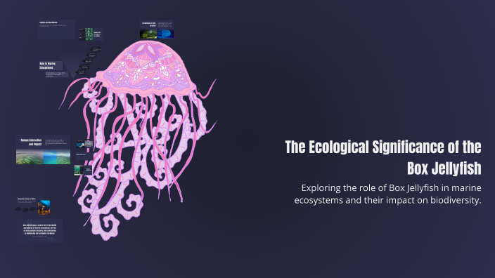 The Ecological Significance of the Box Jellyfish by Dontavious Johnson ...