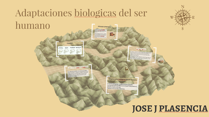 Adaptaciones biologicas del ser humano by JOSE JULIAN PLASENCIA INFANTE ...