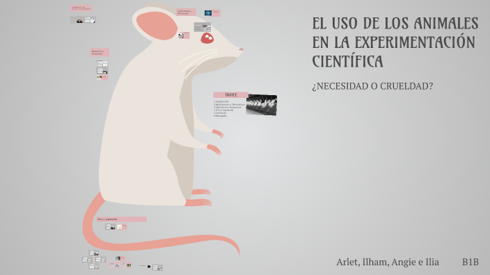 EL USO DE LOS ANIMALES EN LA EXPERIMENTACIÓN CIENTÍFICA by ANGIE ...