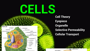 Cells Title Page by Matteo Colp on Prezi Design