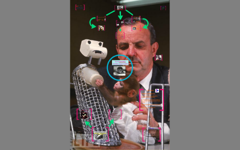 Harry Harlow's monkey experiments by lydia M on Prezi