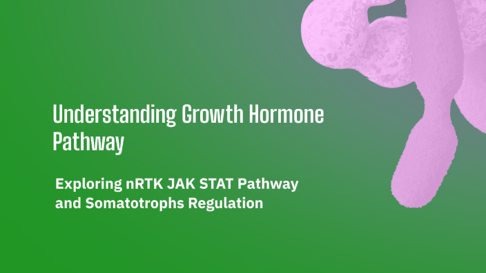 Understanding Growth Hormone Pathway by Rawan Ebada on Prezi