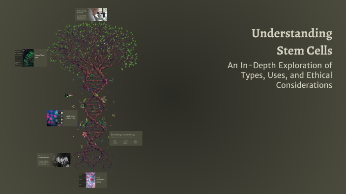 Understanding Stem Cells by Olamide Akinyosoye on Prezi