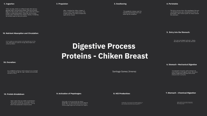 Digestive System - Proteins by SANTIAGO GOMEZ JIMENEZ on Prezi