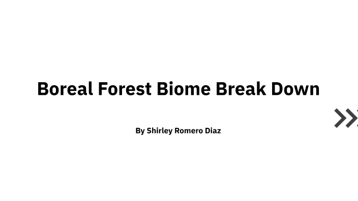 Shirley R.D Boreal Forest Biome Break Down Projects by Shirley Romero ...