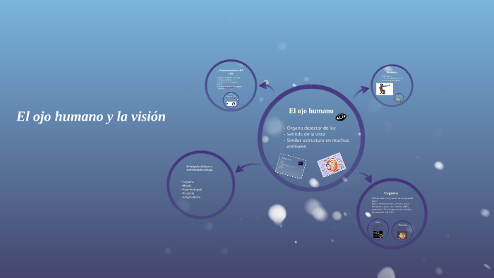 El ojo humano y la visión by Vicente Henriquez on Prezi