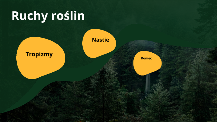 Ruchy roślin by Amelia Mioduszewska on Prezi