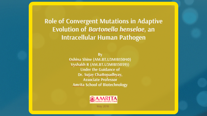 Role of Convergent Mutations in Adaptive Evolution of Barton by Oshina ...