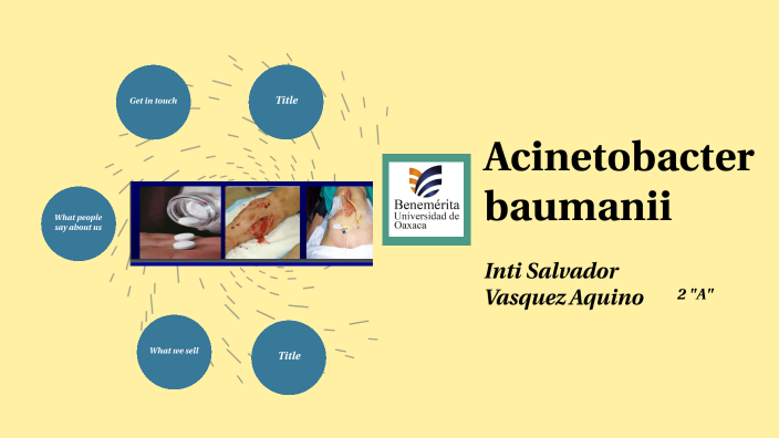 Acinetobacter baumanii by Salvador Vas on Prezi