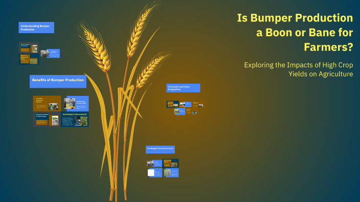 Is Bumper Production a Boon or Bane for Farmers? by Abc Efg on Prezi