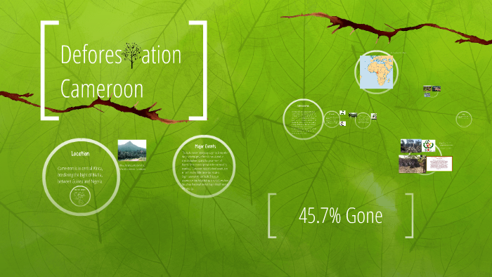 Cameroon Deforestation by E Bit on Prezi