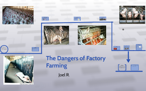 The Dangers of Factory Farming by Joel Rivera on Prezi