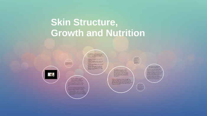Skin Structure, Growth and Nutrition by Danielle Resciniti on Prezi