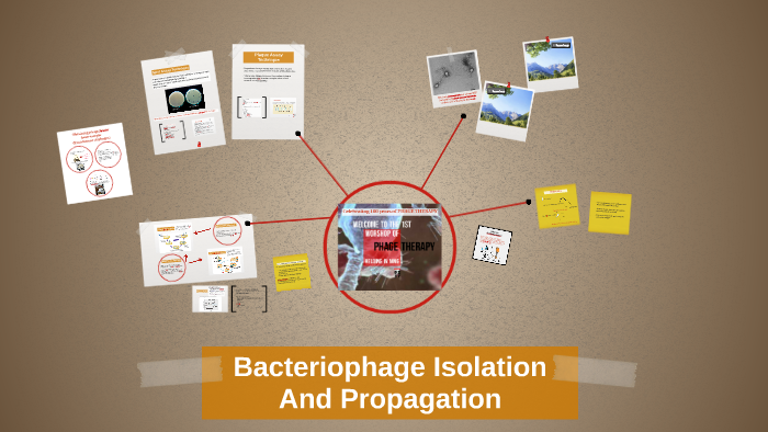 Bacteriophage Isolation And Propagation phage therapy by Asma Gul on Prezi