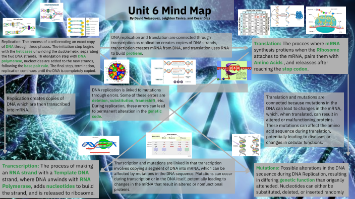 Unit 6 Mind Map by David Velazquez on Prezi