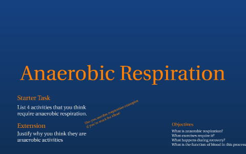 Anaerobic Respiration by Laura Thorogood on Prezi
