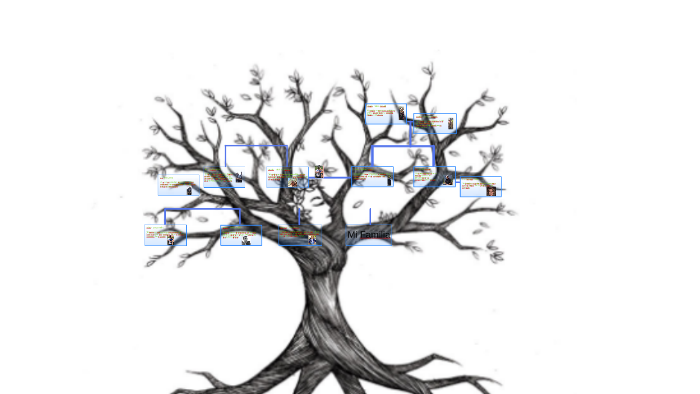 Family Tree by Ava Crowell