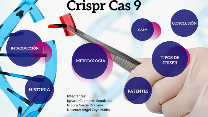 Crispr Cas 9 by Isidora Orellana on Prezi