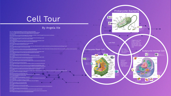 Cell tour by Angela Xie on Prezi