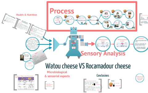Watou cheese and rocamadour cheese - Microbiological part by Virginie ...