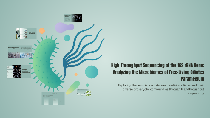 High-Throughput Sequencing of the 16S rRNA Gene: Analyzing the ...
