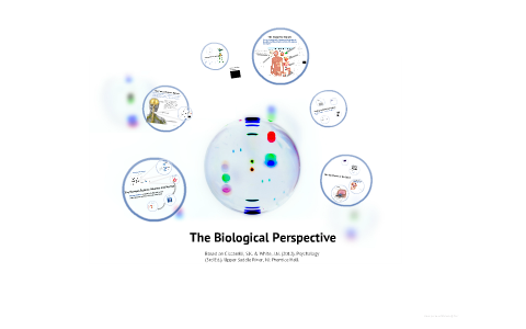 The Biological Perspective by Clare Gruszka on Prezi