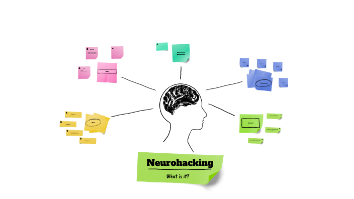 Neurohacking by Anna Bolden on Prezi