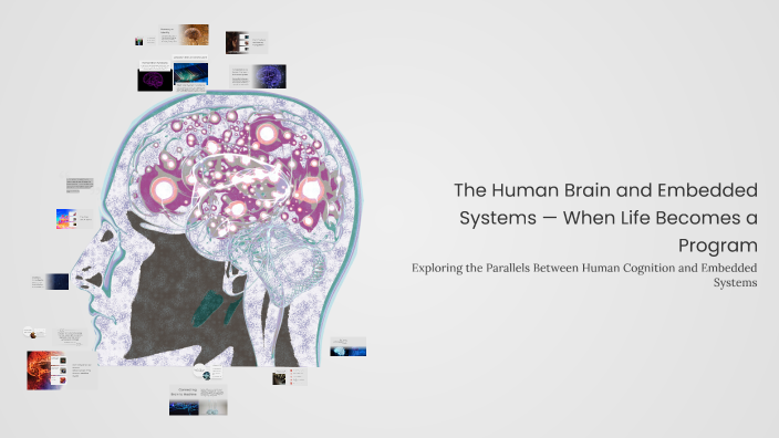 The Human Brain and Embedded Systems — When Life Becomes a Program by ...