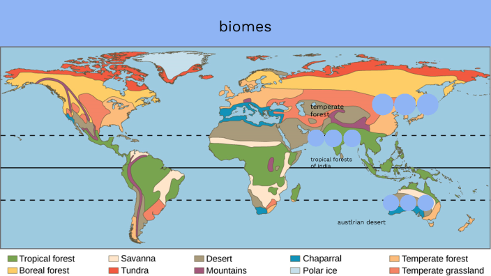 biome geography by William Jose on Prezi