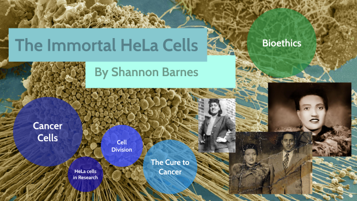 HeLa Cells Research Project - Shannon Barnes - Bio9H by Shannon Barnes ...