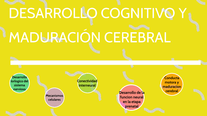 Desarrollo Cognitivo Y Maduración Cerebral By Alison Vargas Reynaga On
