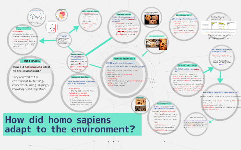 How did homo sapiens adapt to the environment? by Rintaro Koike on Prezi