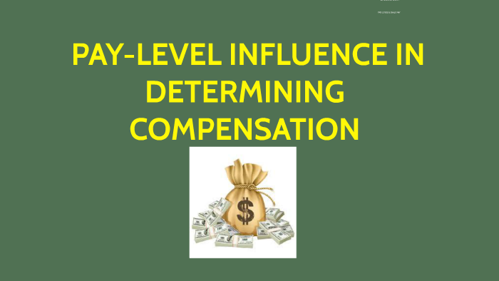 PAY LEVEL by Angela Friedl on Prezi