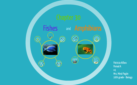 Fishes and Amphibians - Biology Project by Patricia Alfaro on Prezi