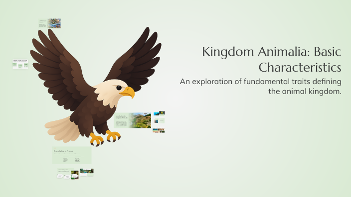 Kingdom Animalia: Basic Characteristics by TheTarik_21 on Prezi
