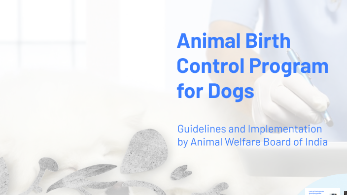 Animal Birth Control Program for Dogs by Jeevan Society on Prezi