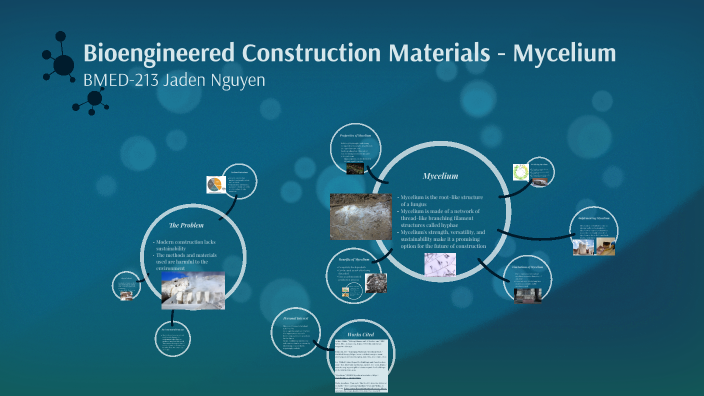 Bioengineered Construction Materials - Mycelium by Jaden Nguyen on Prezi