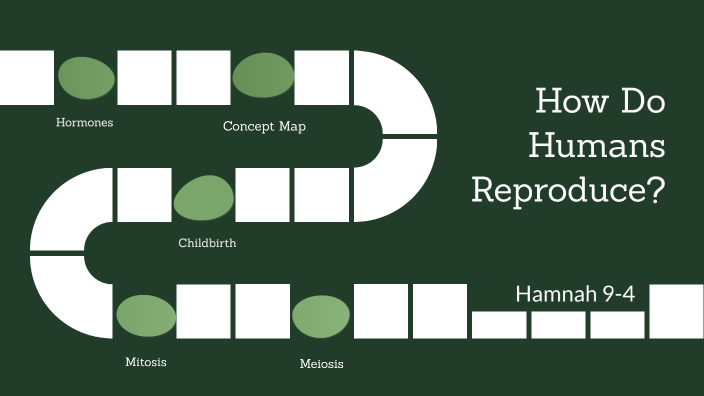 How Do Humans Reproduce? by Hamnah Asif on Prezi