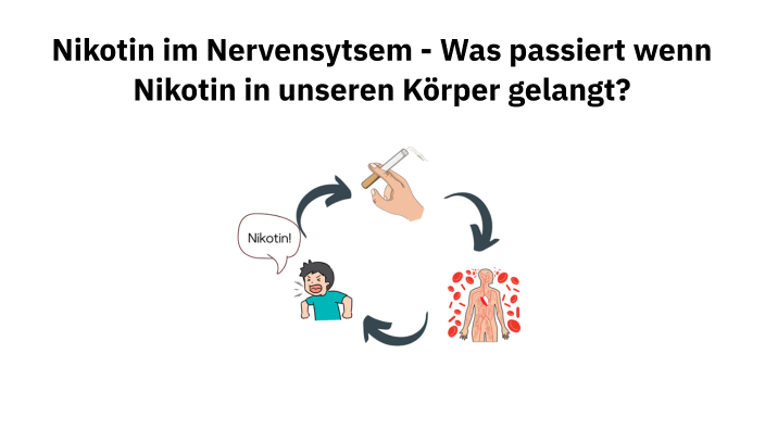 biologie nikotin by Emily Doogs on Prezi