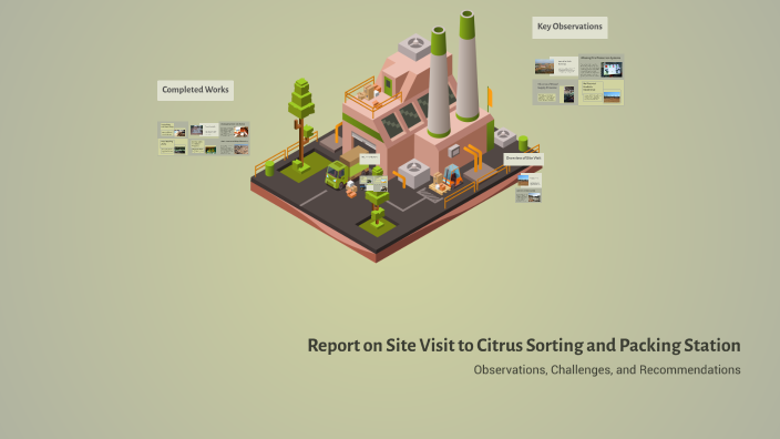 Report on Site Visit to Citrus Sorting and Packing Station by Mostafa ...