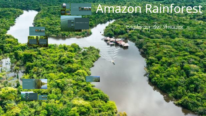 Exploring the Amazon Rainforest by Donald Nelson on Prezi