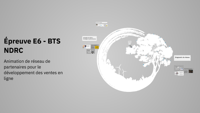 Épreuve E6 - BTS NDRC by Leny Beaudera on Prezi
