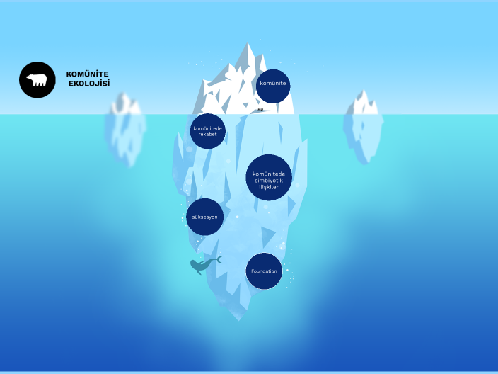 amat by Harun Guven on Prezi