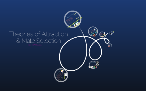 Theories of Attraction and Mate Selection by Titi Odunlami on Prezi