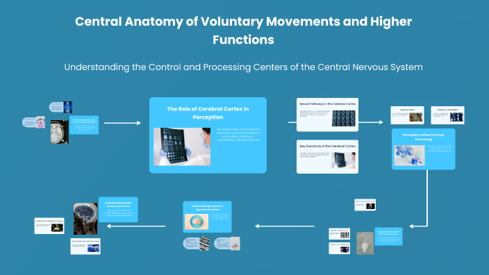 Central Anatomy of Voluntary Movements and Higher Functions by Nermin ...
